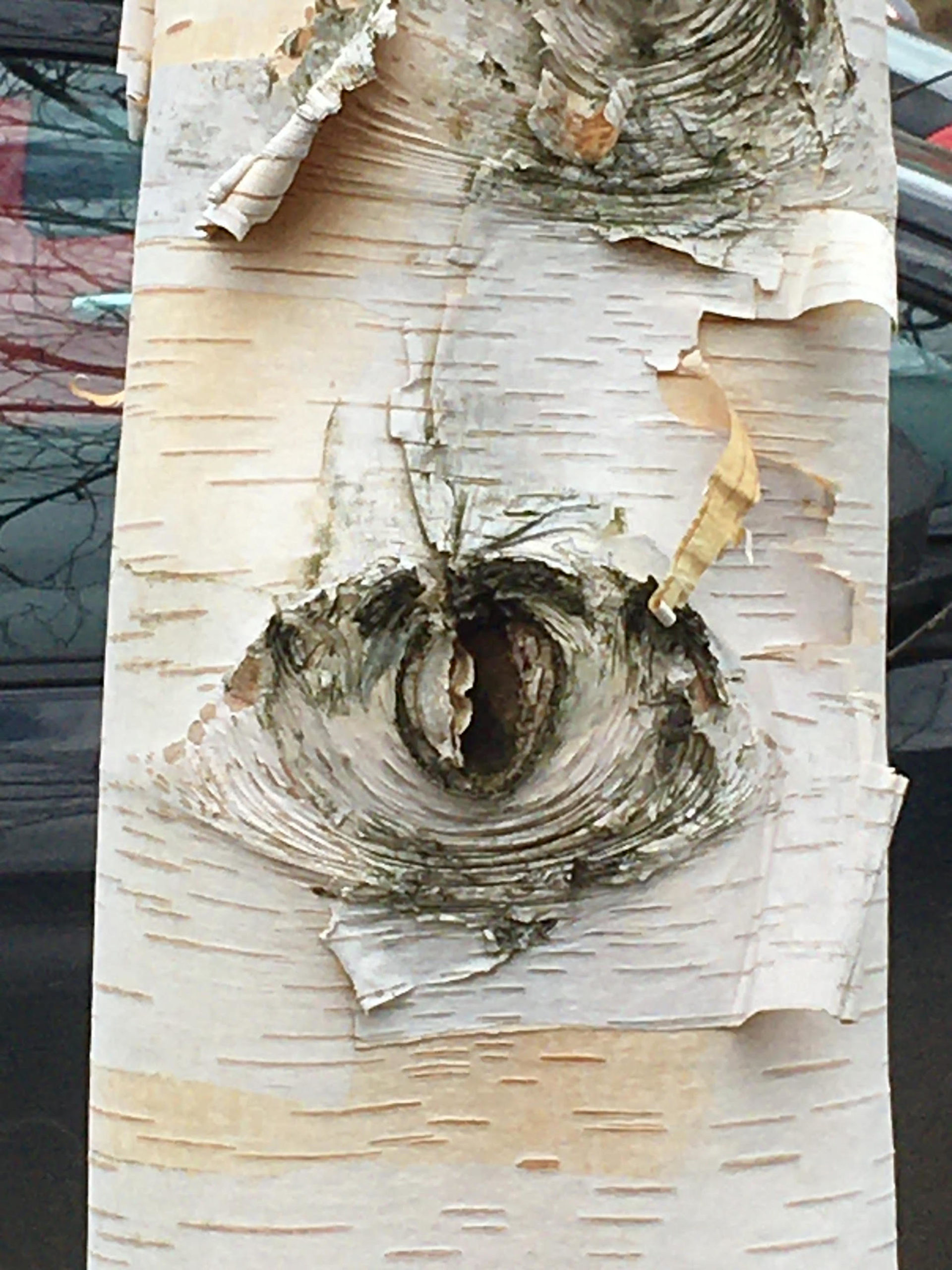 Neue Augen für die Welt – Facilitator Training - Kassel New